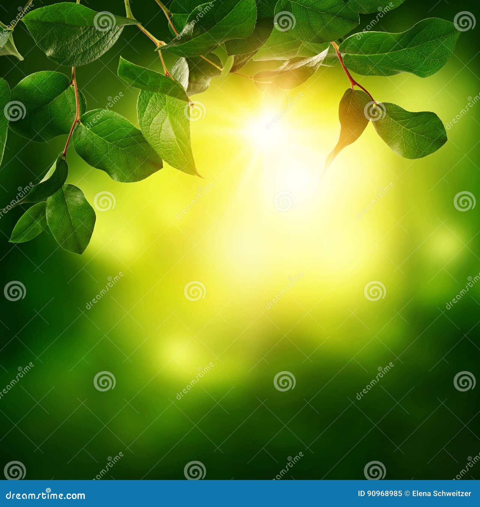 Abstract spring background stock image. Image of garden - 90968985