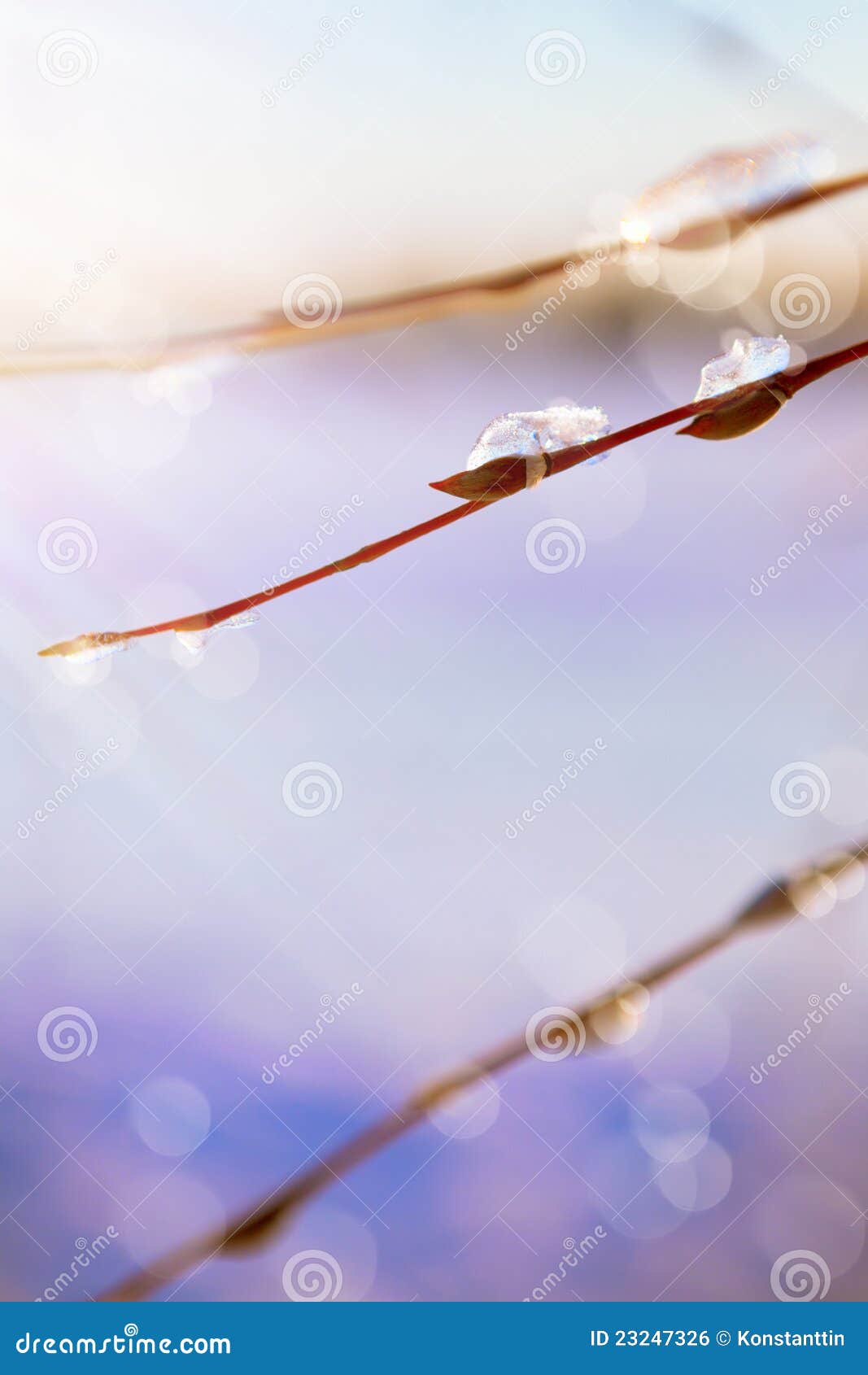 Abstract Spring Background Spring O Stock Photo - Image of light ...