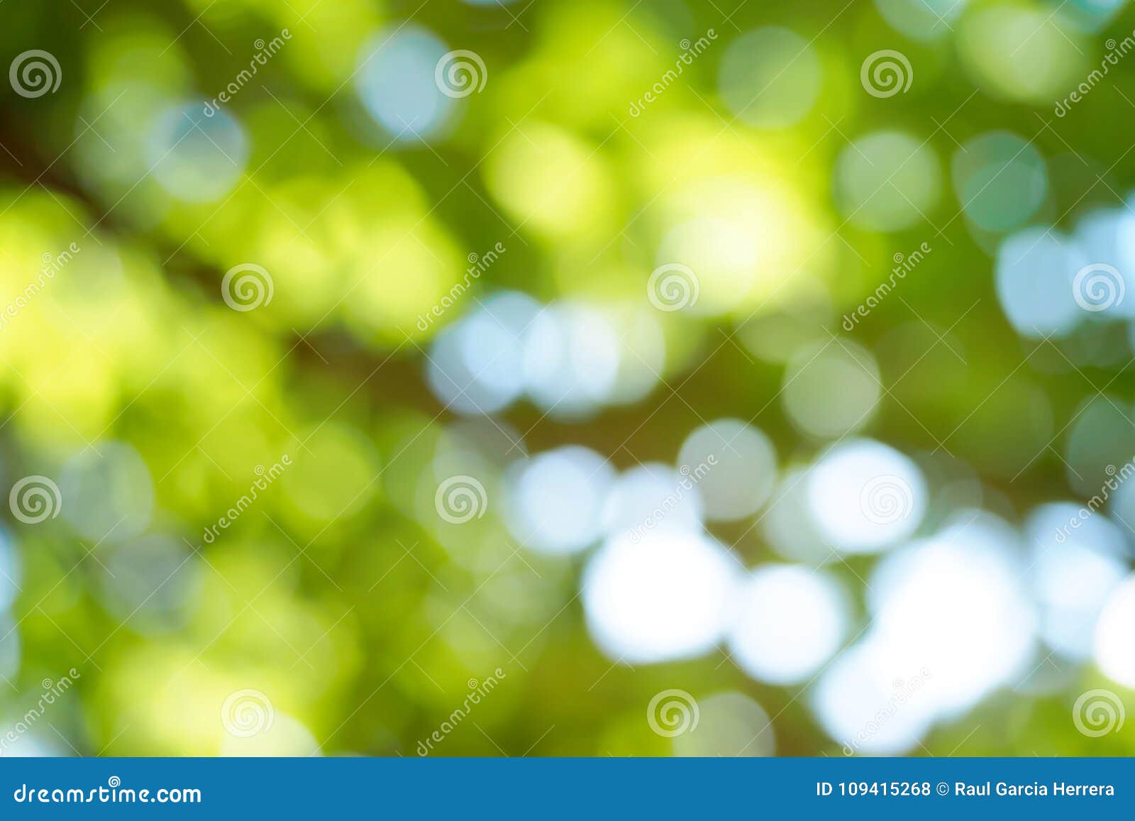 Abstract Spring Defocused Background. Green Bokeh Stock Photo - Image ...