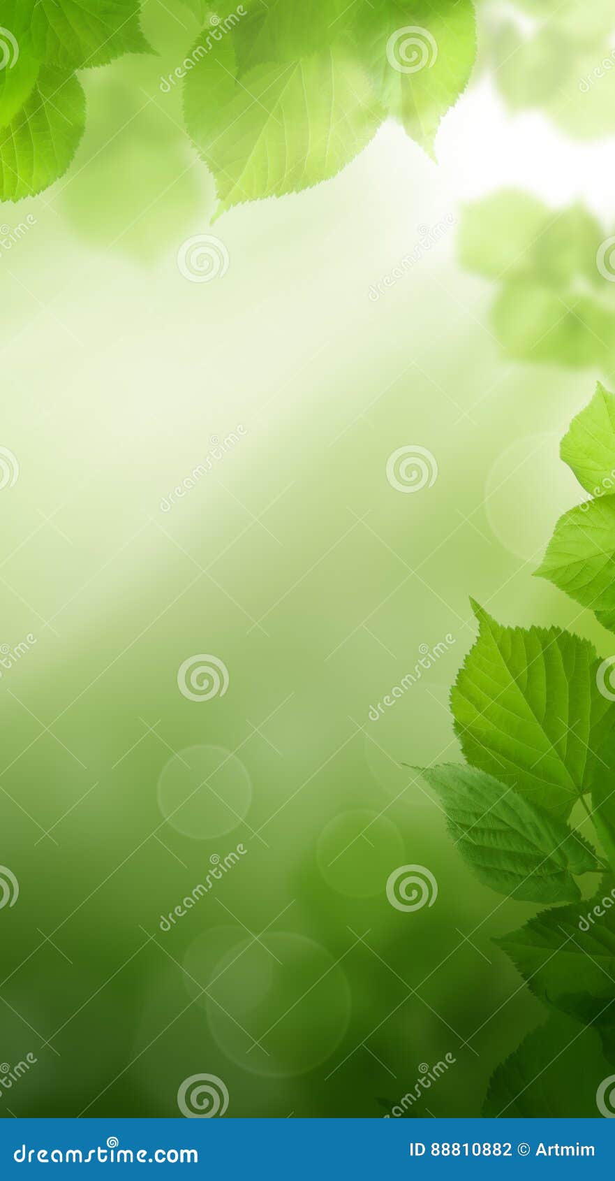 Abstract Spring Green Wallpaper Background Stock Photo - Image of park ...