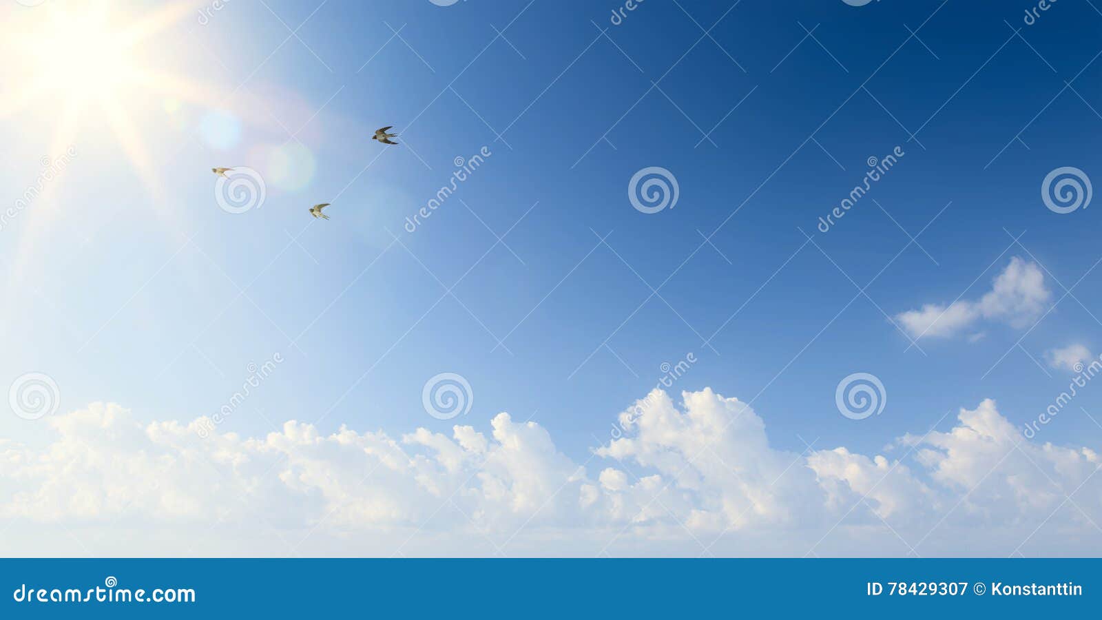 Abstract Spring Morning Landscape with Flying Birds in the Sky Stock ...