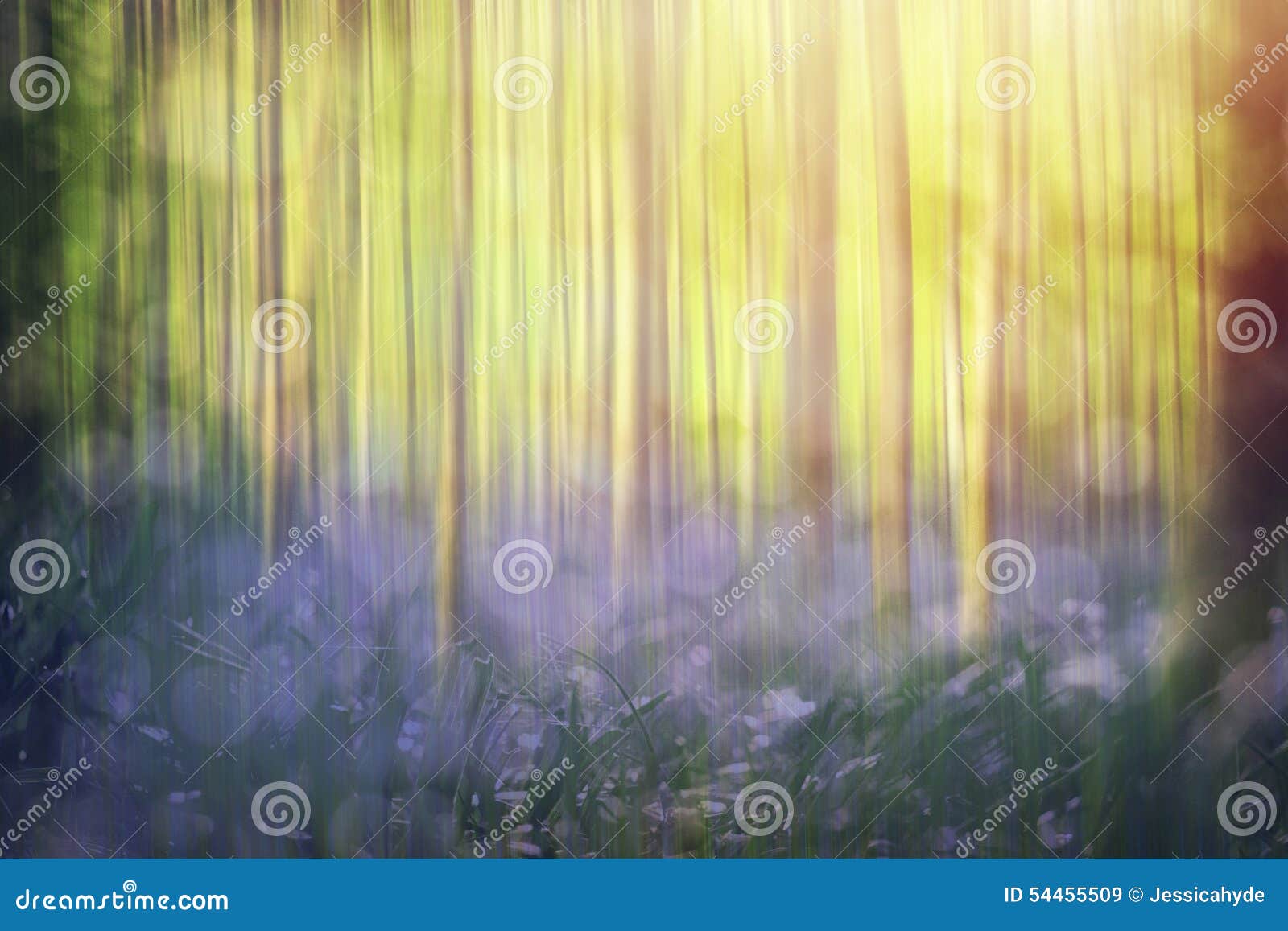 Abstract Springtime Forest Background Stock Image - Image of ...