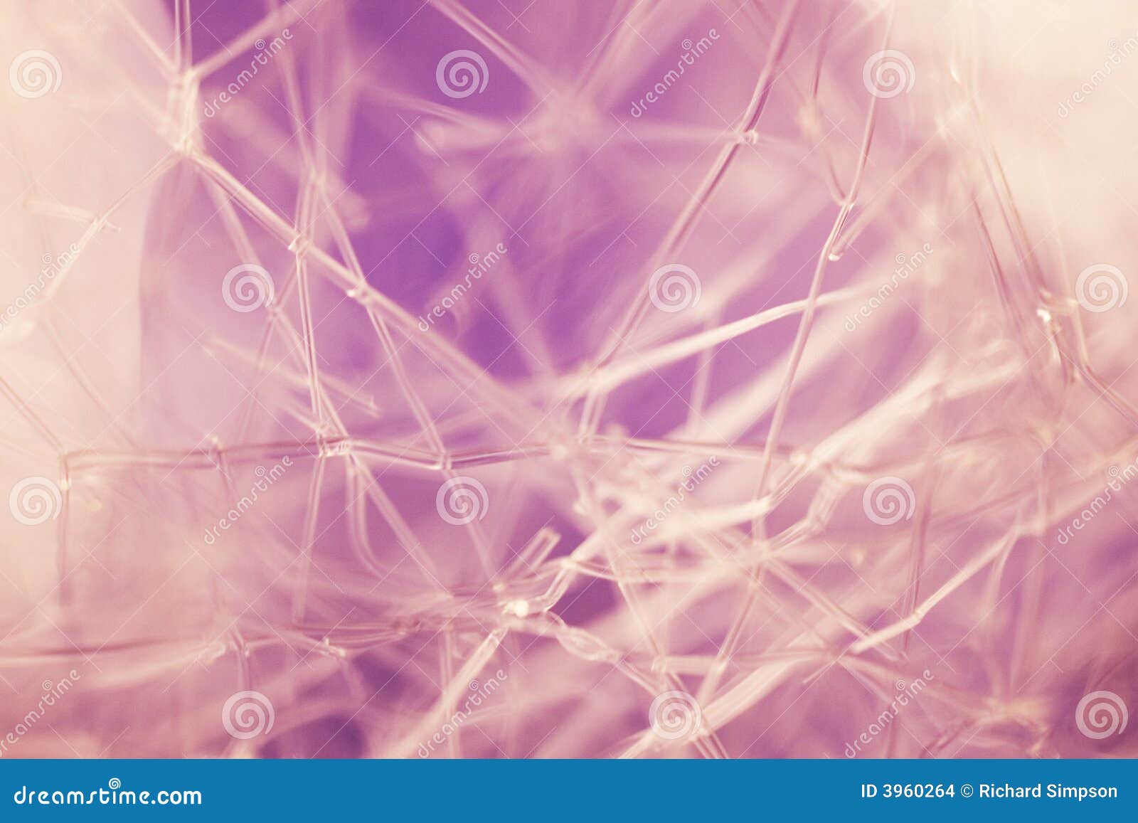 Abstract still life stock photo. Image of still, colors - 3960264
