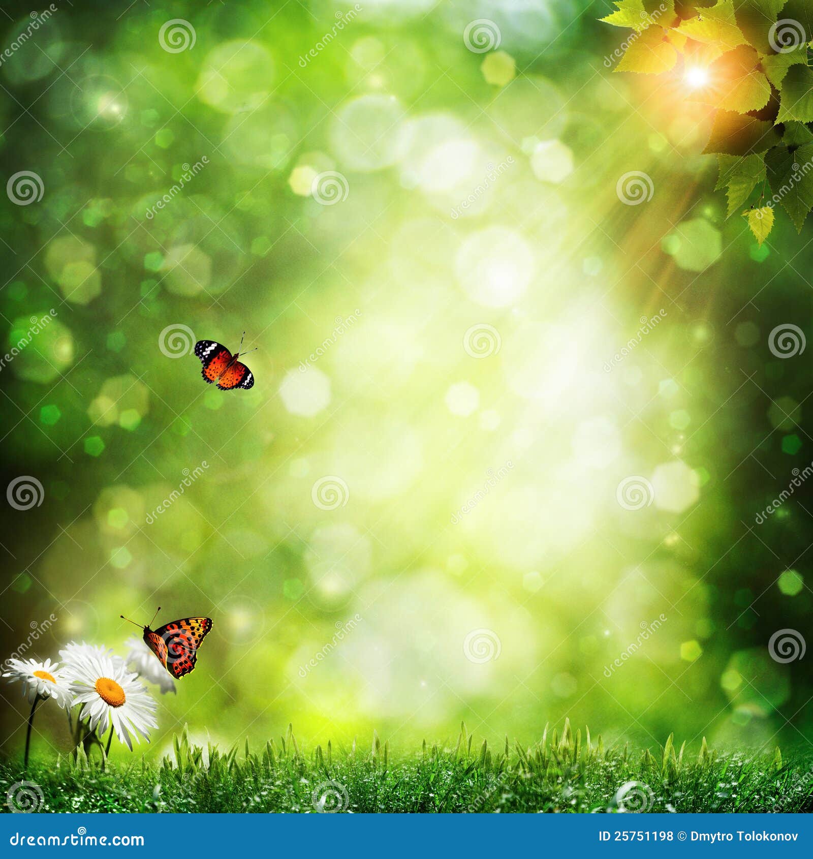 Abstract Summer Backgrounds Stock Photo - Image of grass, freshness ...