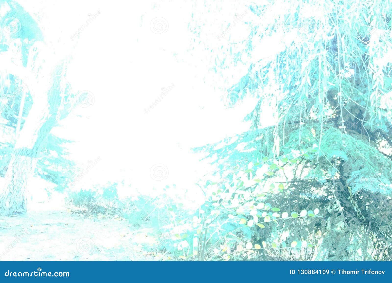 Abstract Summer Bokeh Blur Background, High Resolution Backdrop. Stock ...