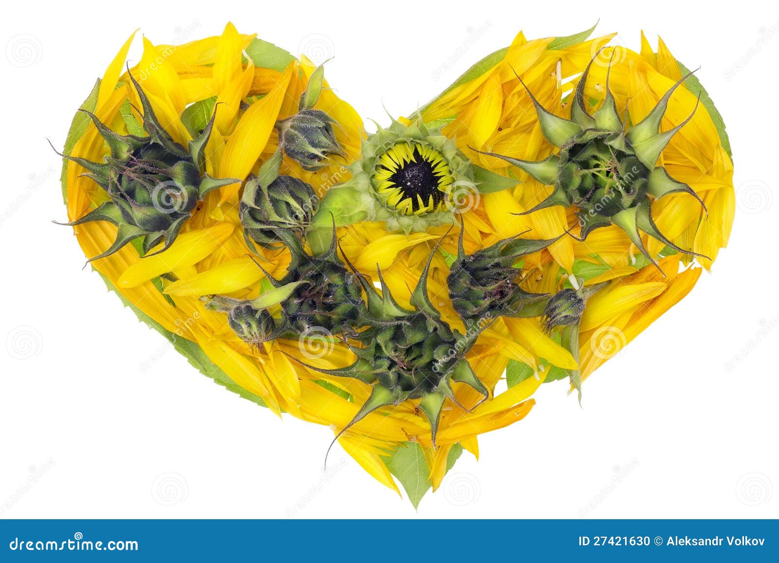 Abstract sunflowers heart stock photo. Image of nature - 27421630