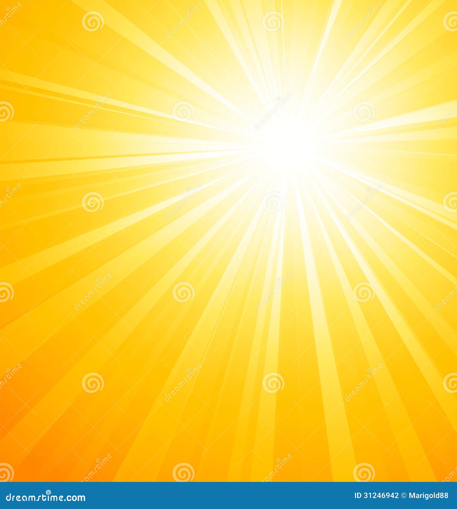 Sunny Day Background Template, Shade And Light Vector Illustration ...