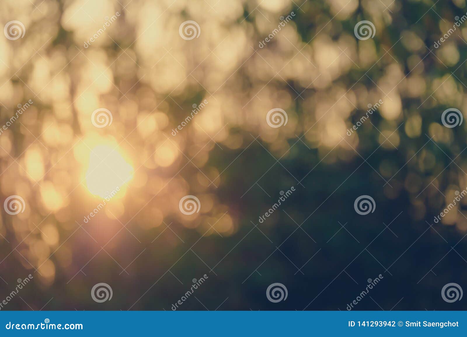 Abstract Sunset Bokeh Green Blur Background Texture Stock Photo - Image ...