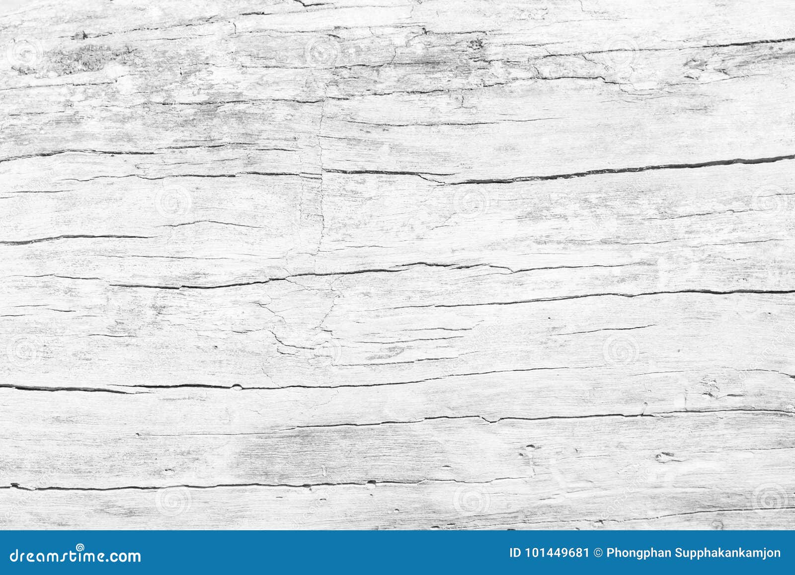 Abstract Surface White Wood Table Texture Background. Close Up O Stock ...