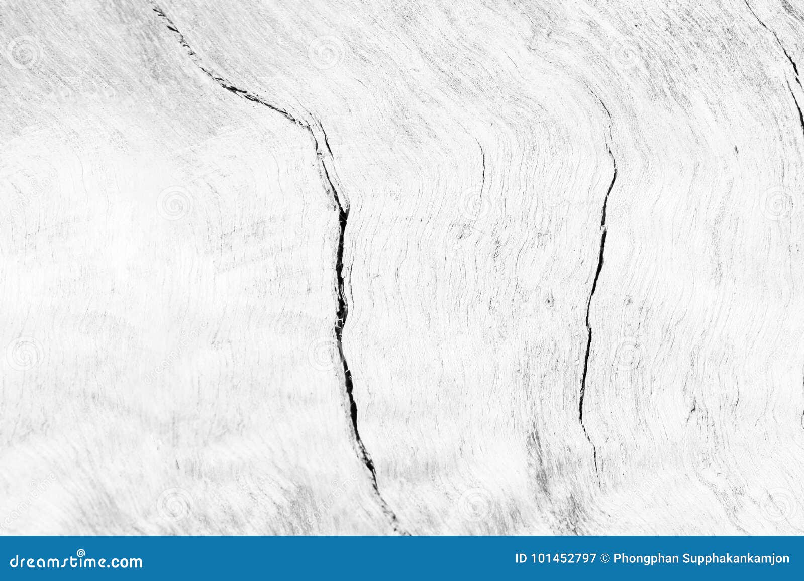 Abstract Surface White Wood Table Texture Background. Close Up O Stock ...