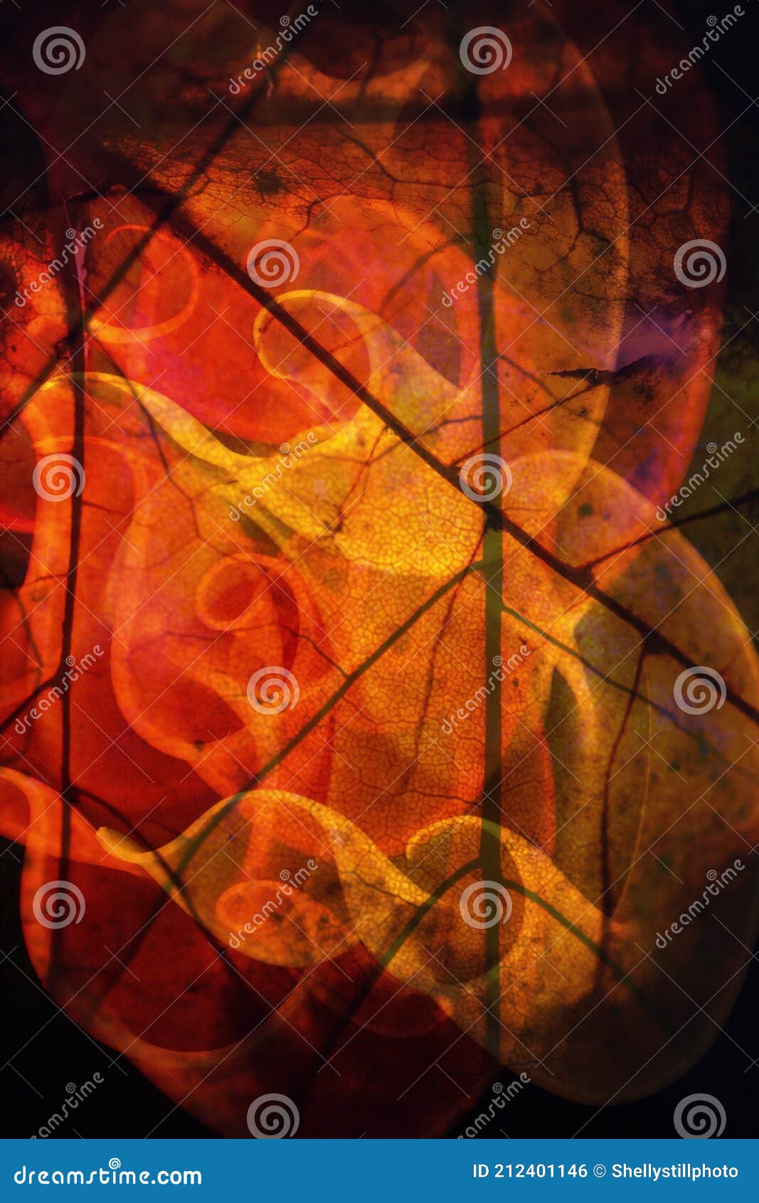 Abstract Swirls and Autumn Leaves Background Design Stock Photo - Image ...