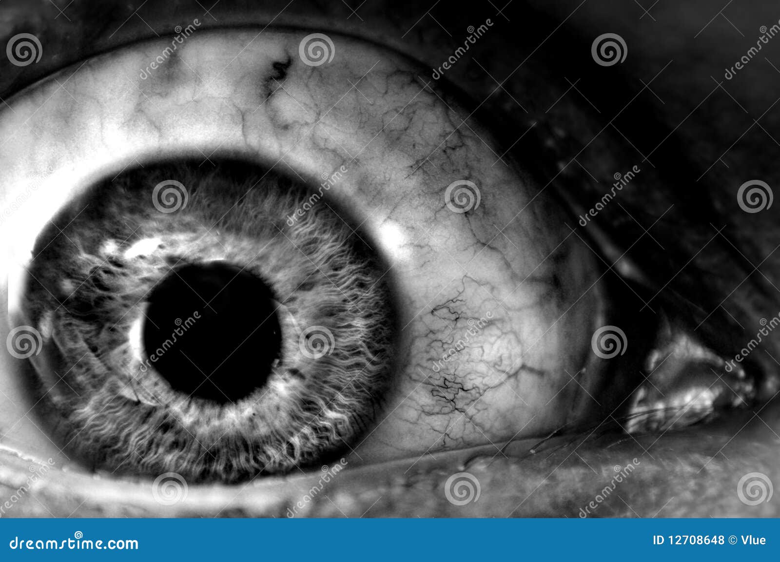 Abstract Terror Eyeball Closeup Stock Photo - Image of phobia, horror ...