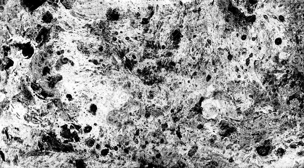 Abstract Texture Background. Black Drops on a Gray and White Background. Marbles Effect. Stock ...