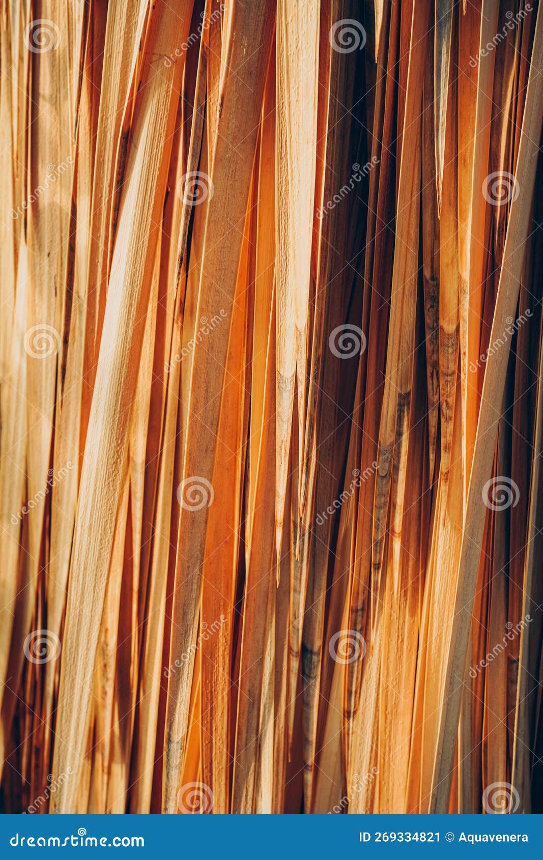 Abstract Texture Background with Close Up of Dried Natural Palm Tree ...