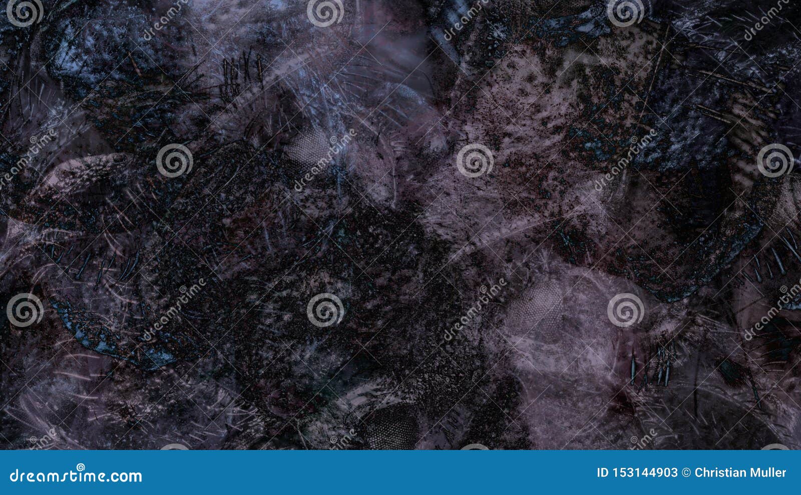 Abstract Texture Background Insect Material Surface Digital ...