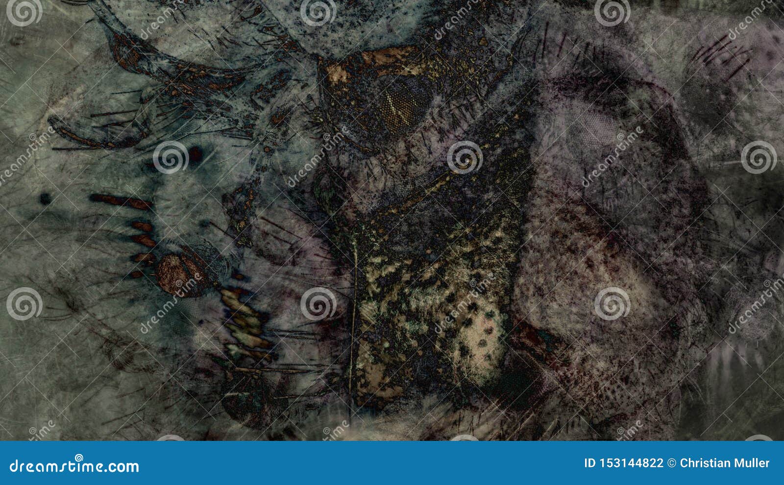 Abstract Texture Background Insect Material Surface Digital ...