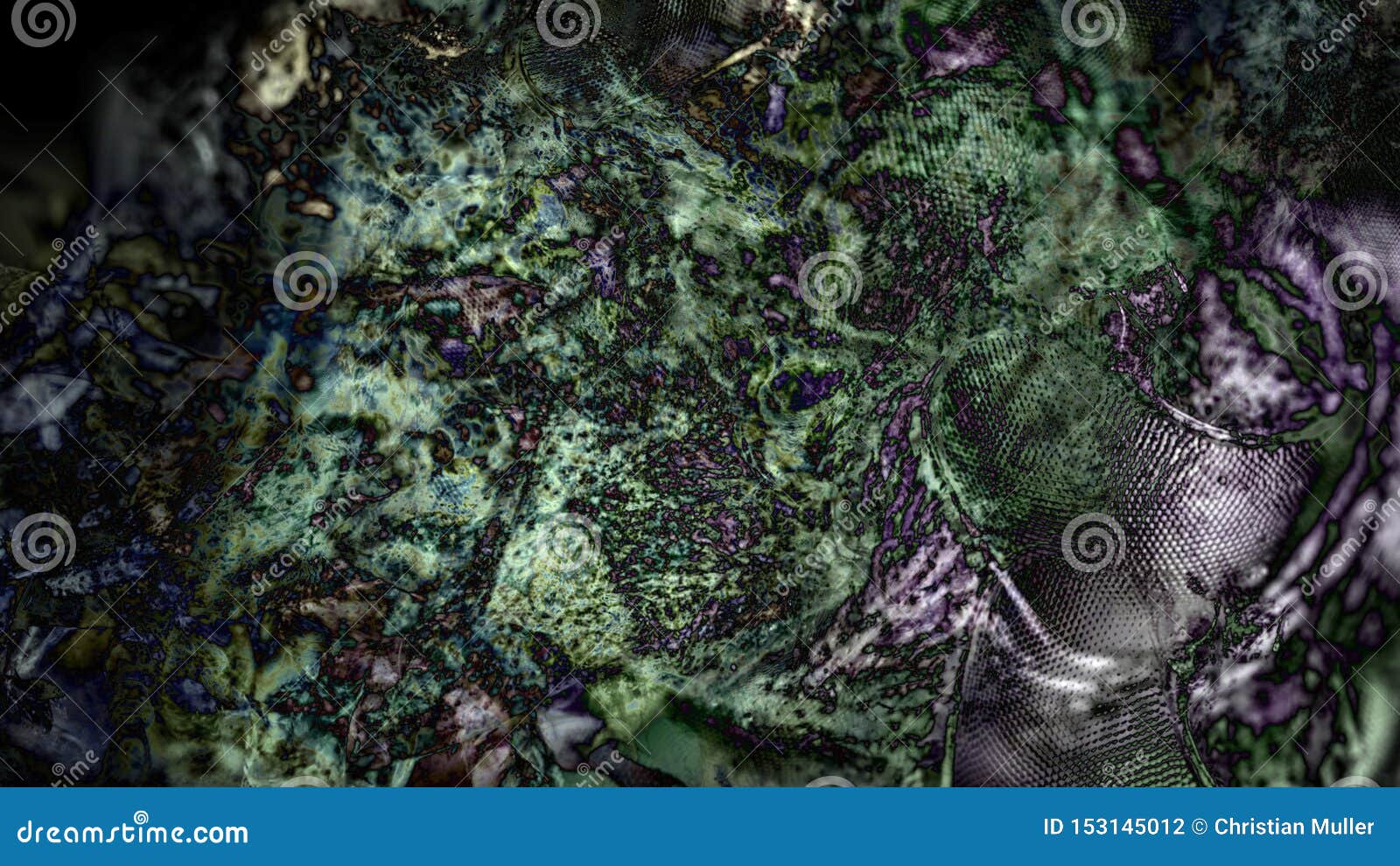 Abstract Texture Background Insect Material Surface Digital ...