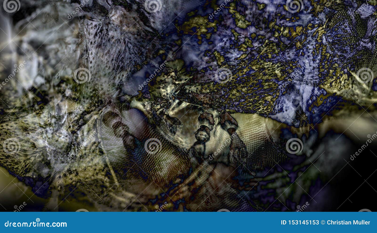 Abstract Texture Background Insect Material Surface Digital ...