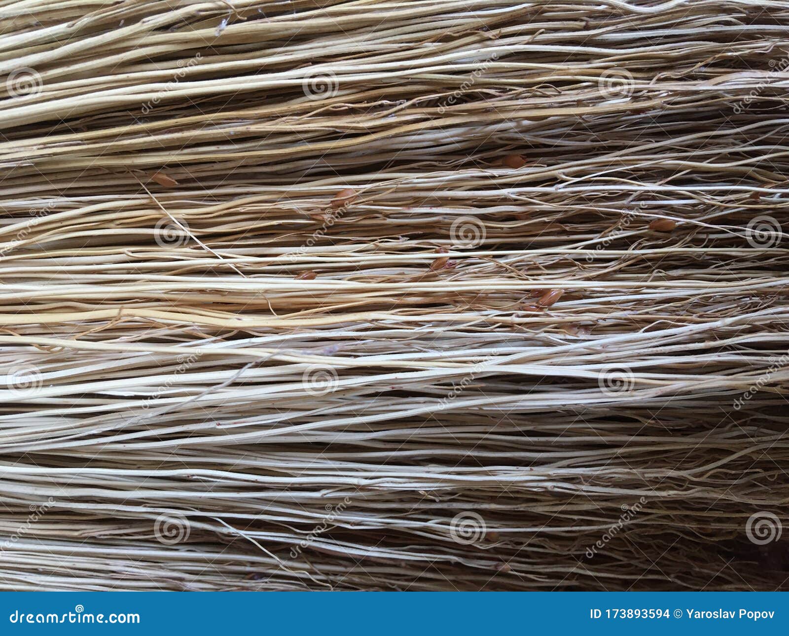 Abstract Texture Composition. Macro Shot of a Household Broom Stock ...