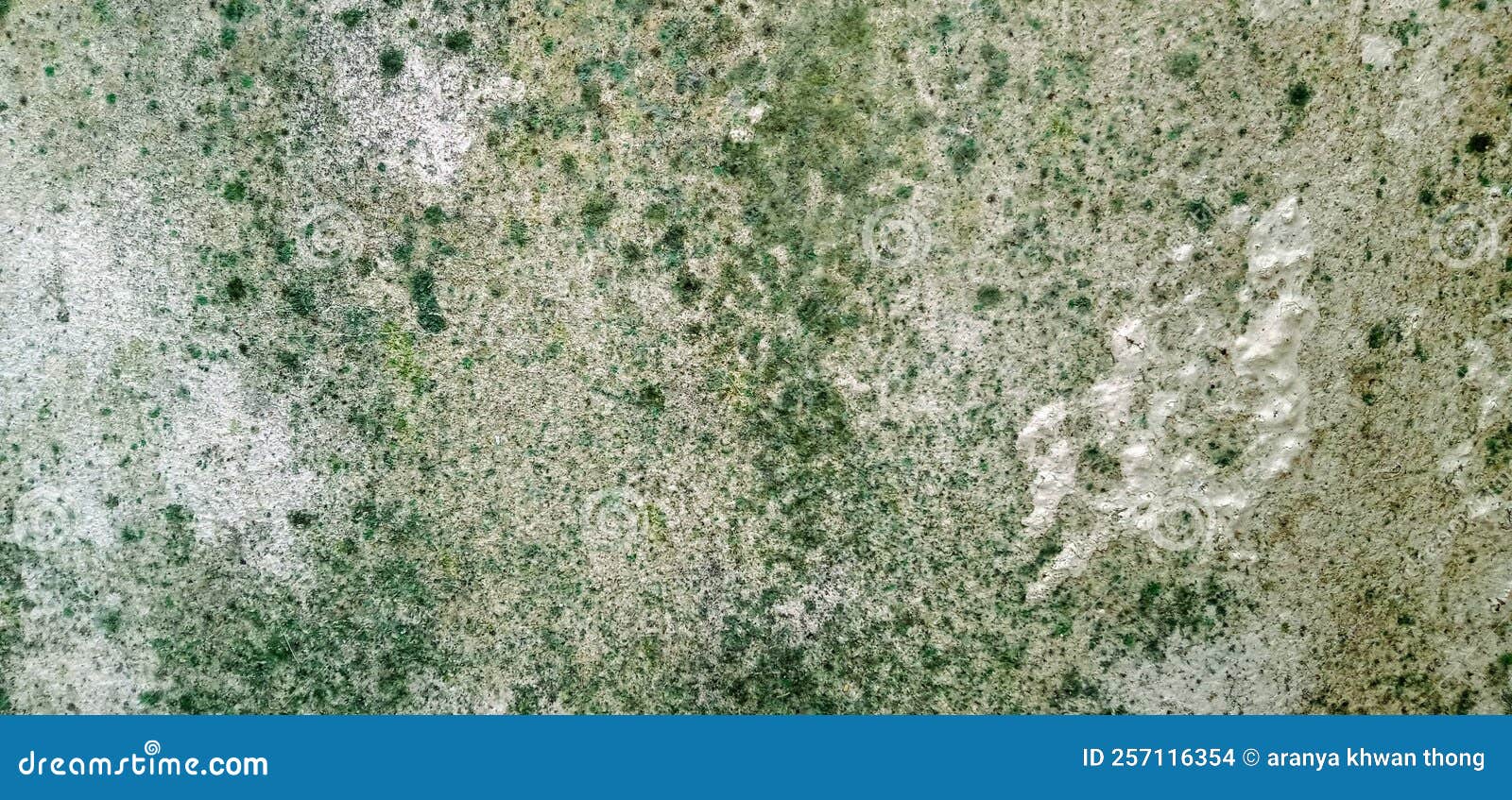 Abstract, Texture, Concrete Wall Old Stained, Moldy, Moss, Green ...