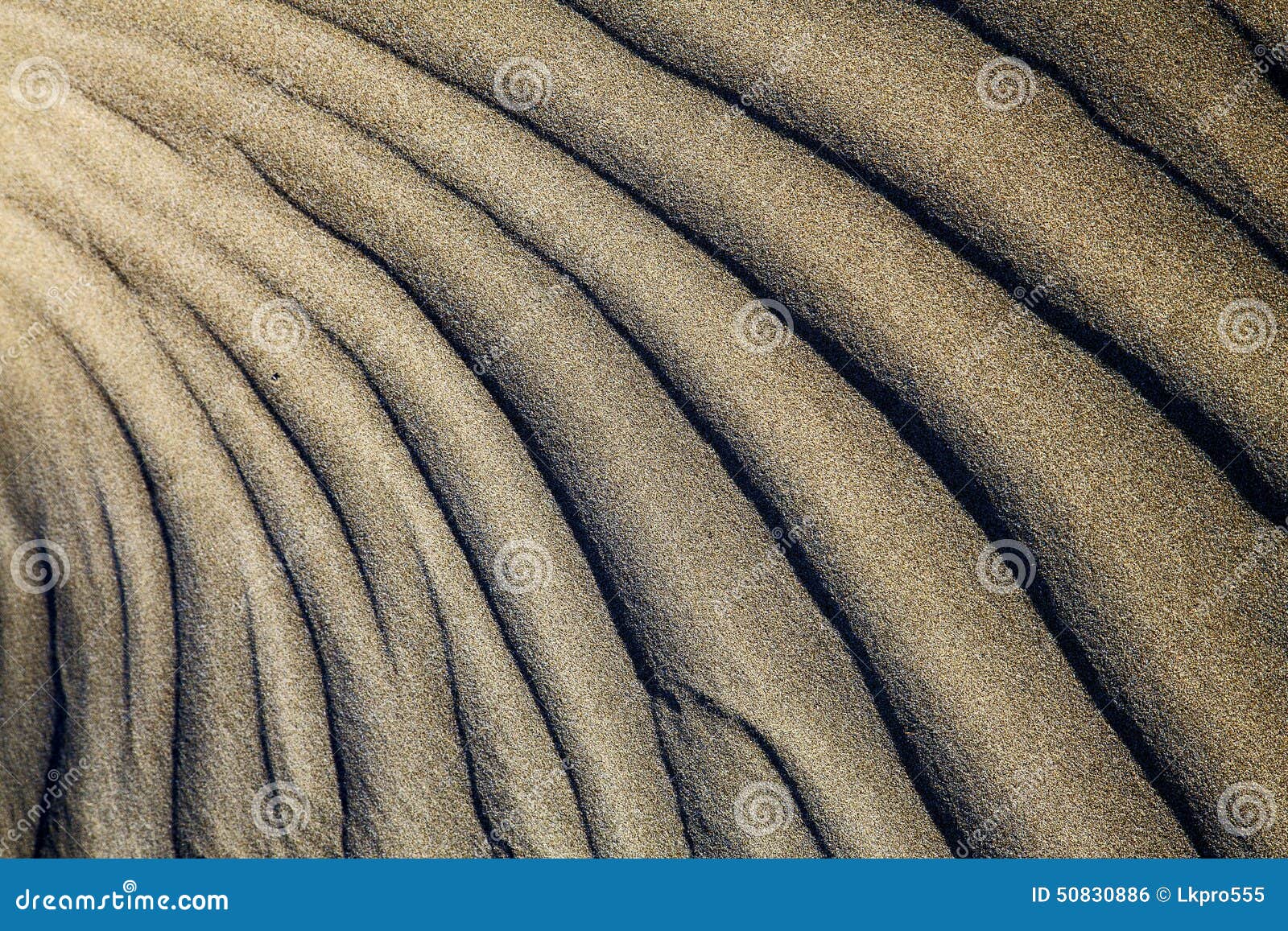Abstract Texture of a Dry Sand and Stock Photo - Image of beach, dust ...