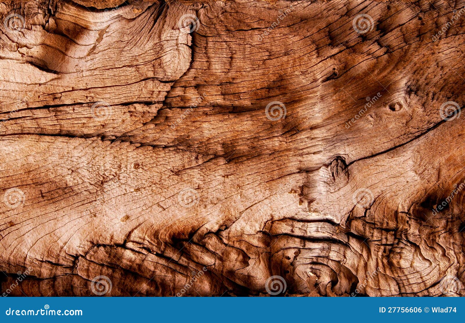 Abstract Texture of Dry Wood Stock Photo - Image of natural, crude ...