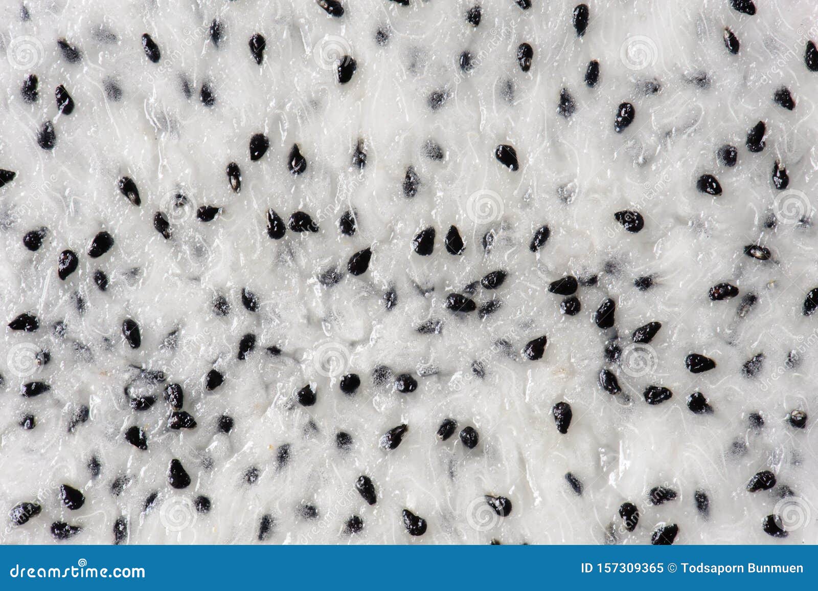 Abstract Texture of Fruit, Dragon Fruit Stock Image - Image of eating ...