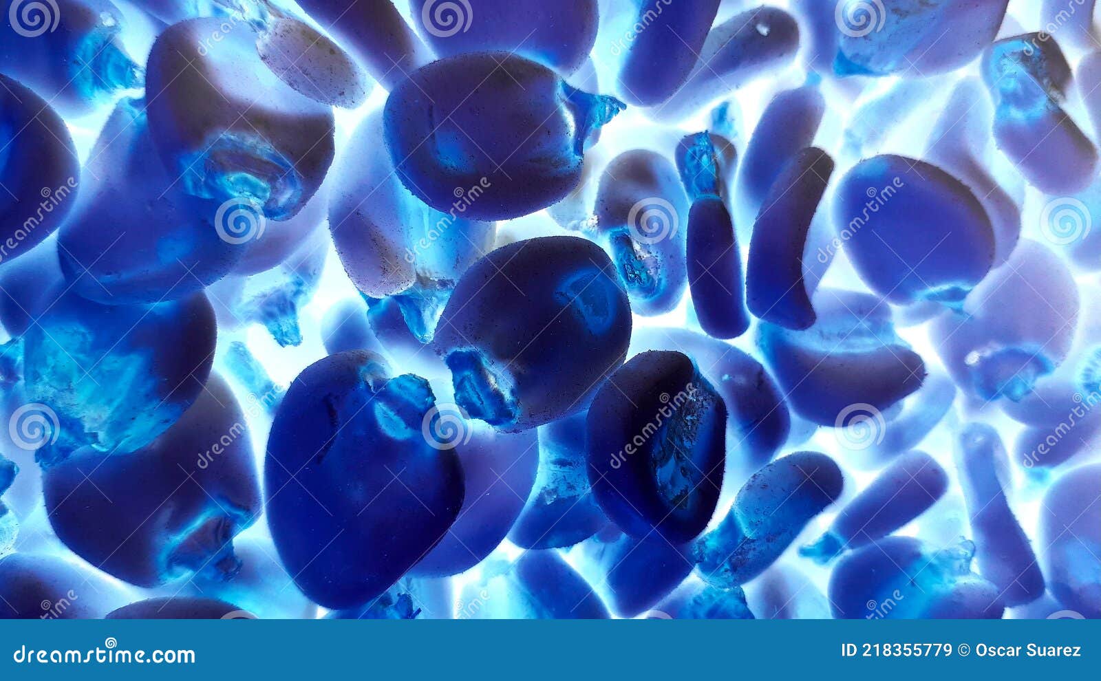 Abstract Texture Image. Corn Kernels in Blue Color Floating Stock Image ...