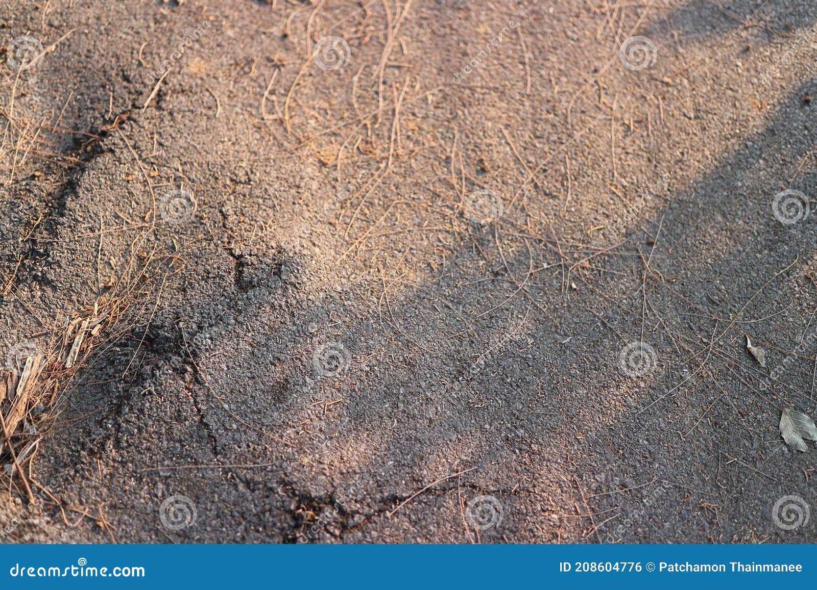 Abstract Texture Light and Shadow from the Morning Sun on the Road ...
