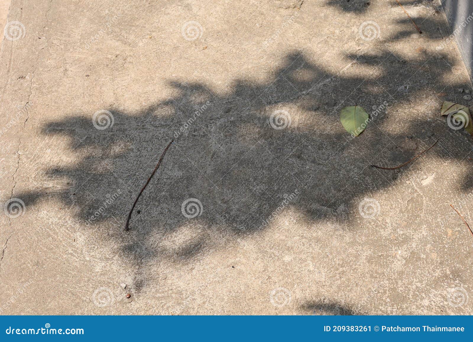 Abstract Texture Light and Shadow from the Morning Sun on the Road ...