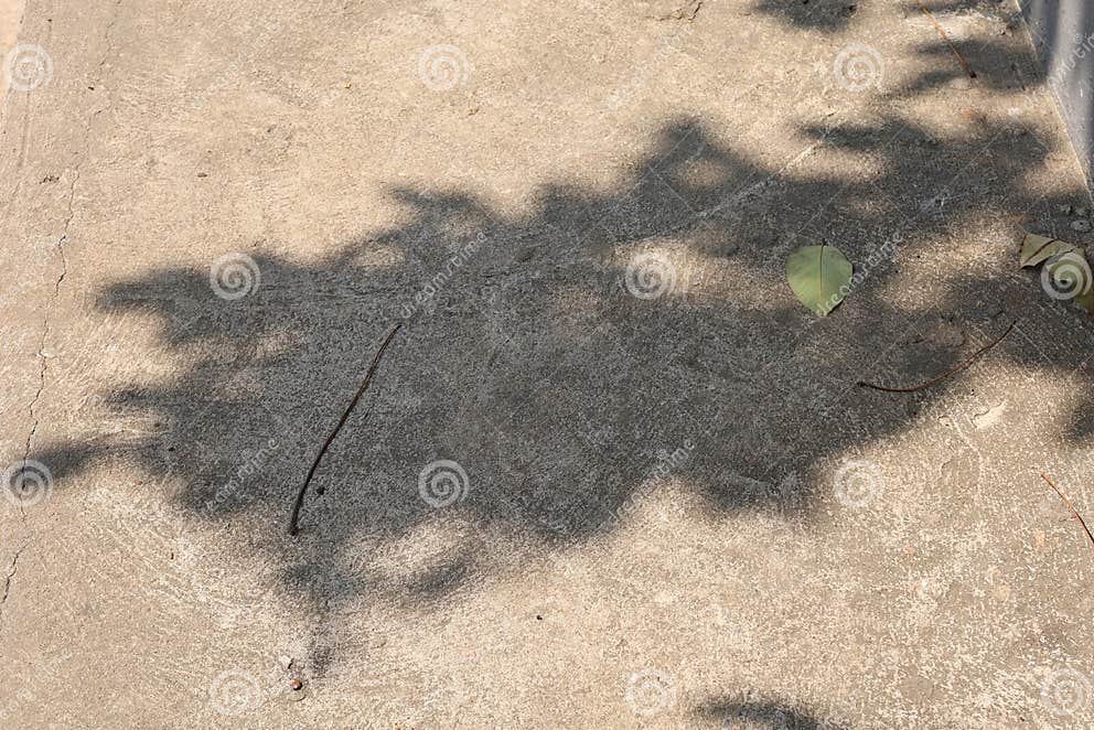 Abstract Texture Light and Shadow from the Morning Sun on the Road ...