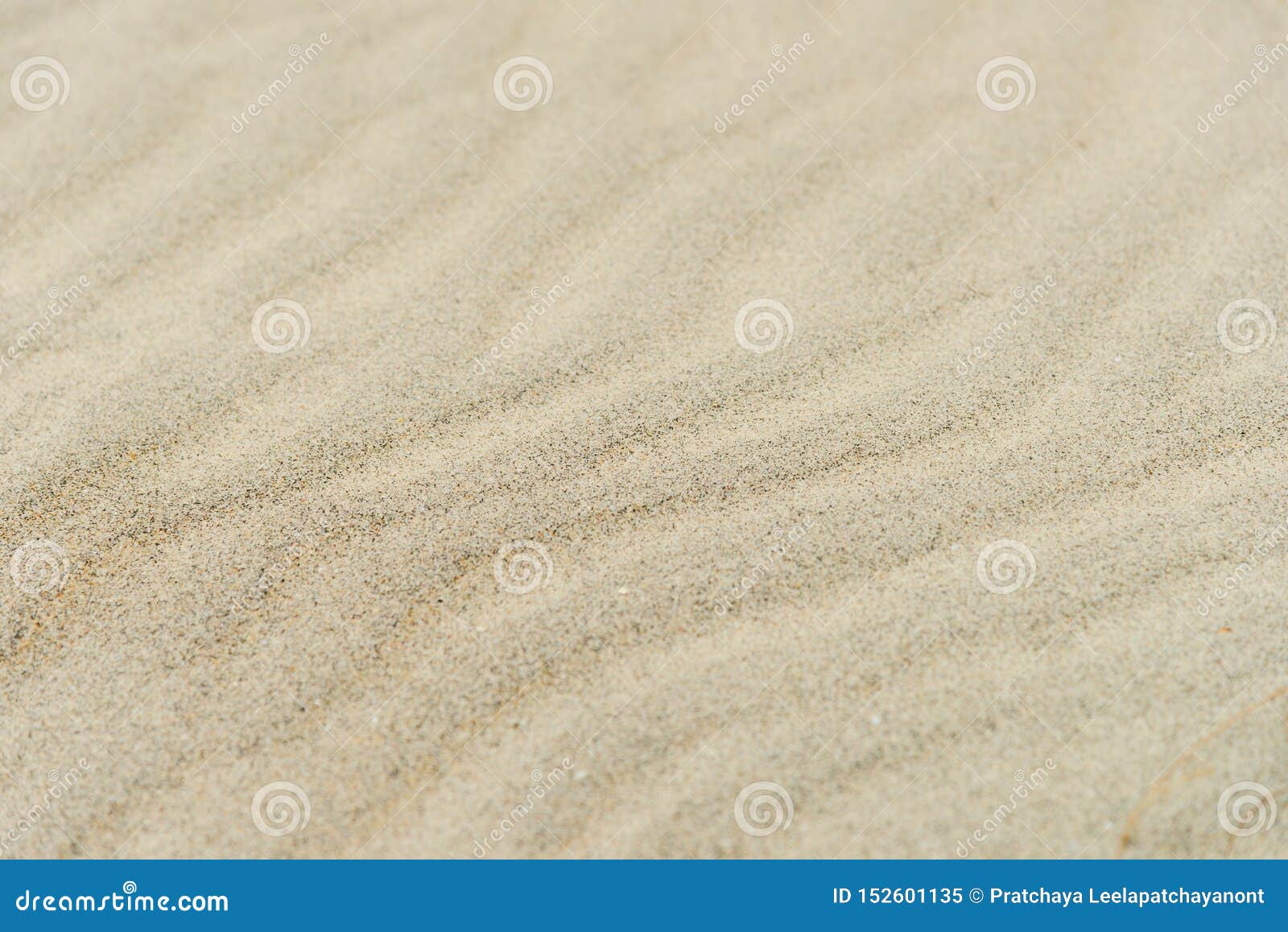 Abstract Texture Line Wave Sand on the Beach. Nature Background Stock ...