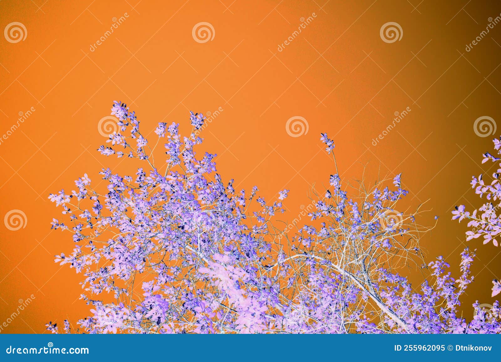 Abstract Texture with Orange and Blue Colors Stock Image - Image of ...