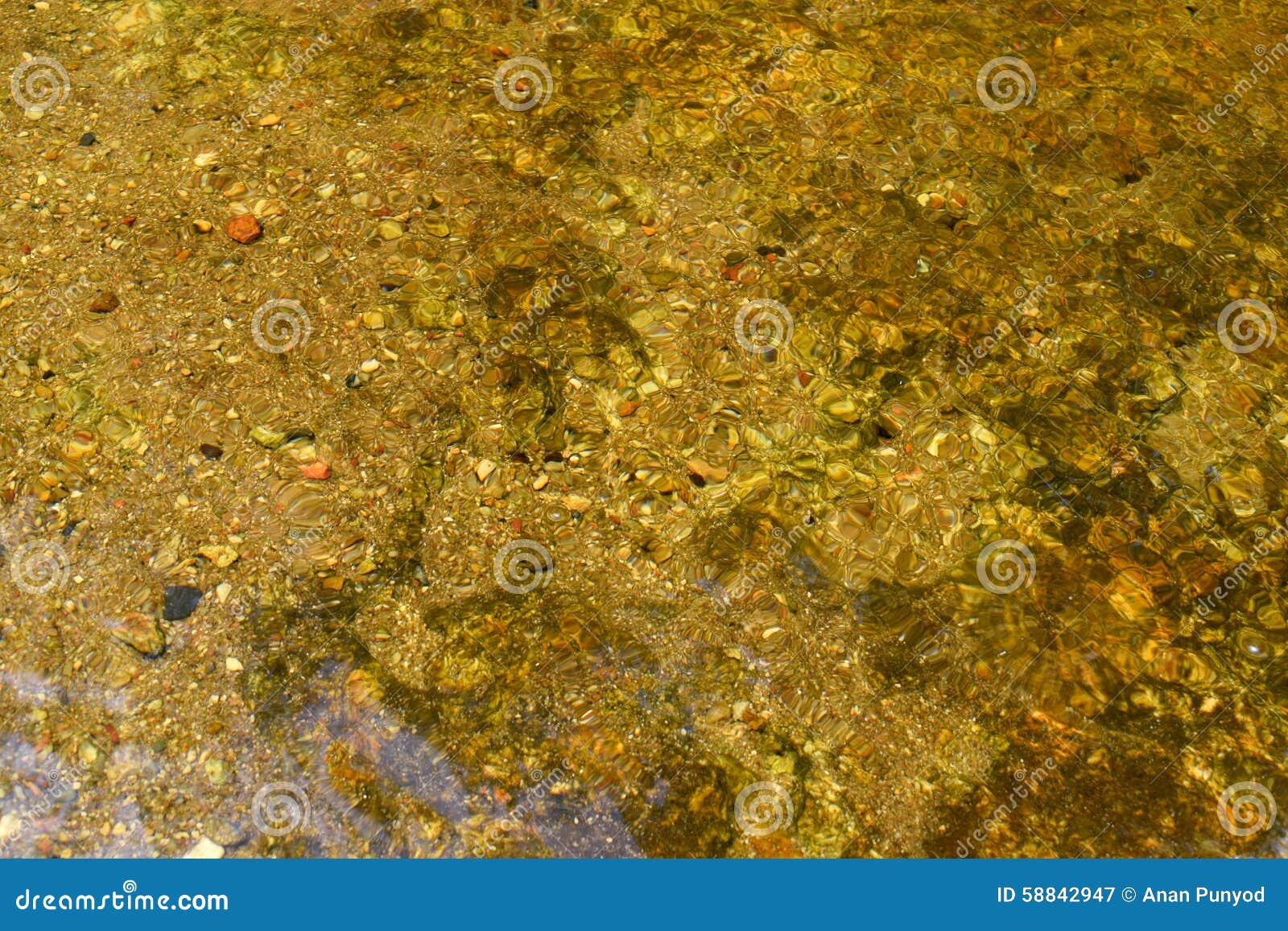 Abstract Texture River Creek Stream, Water on Yellow Ravel Stock Image ...