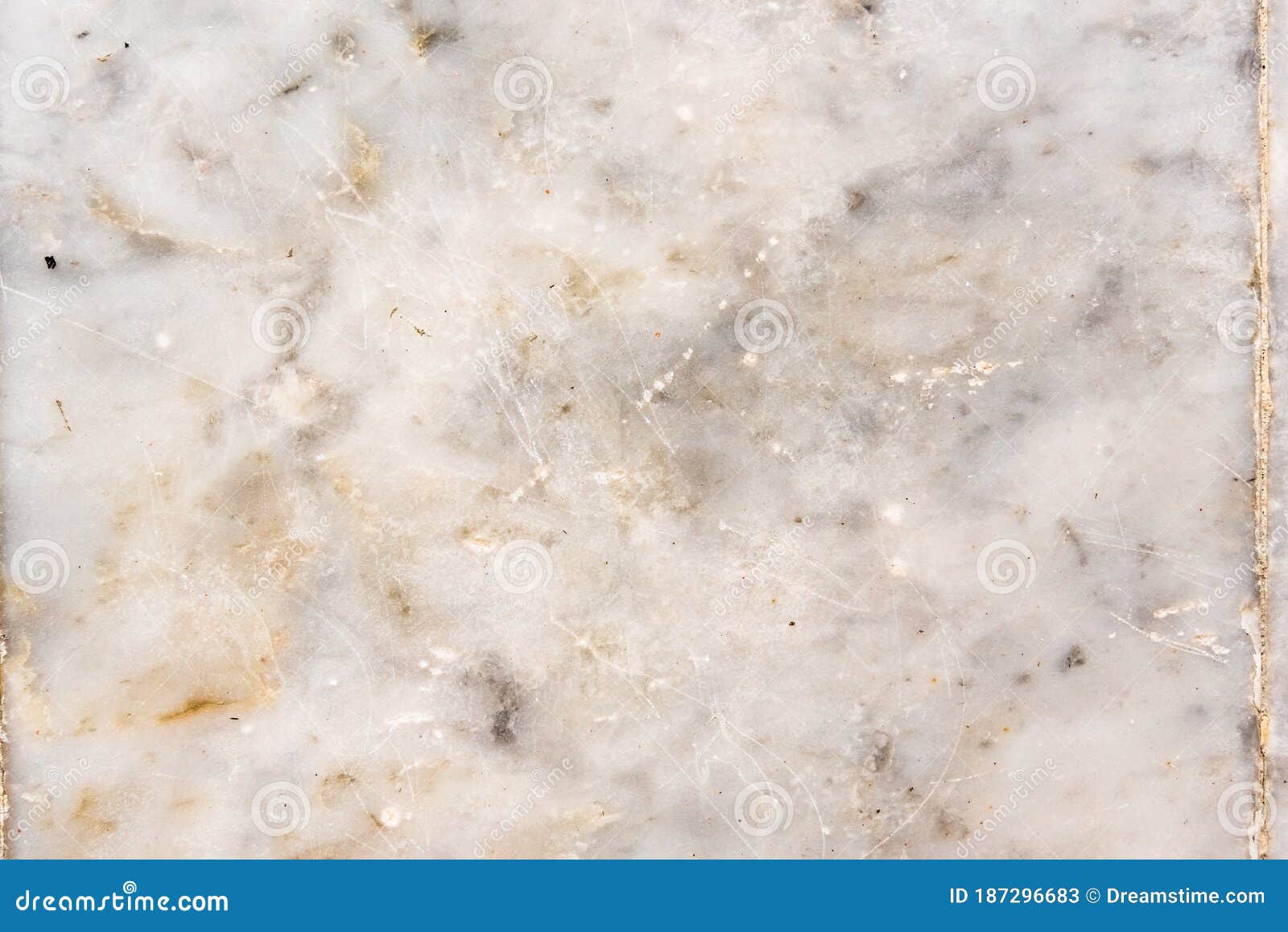 Abstract Texture of White Marble. Basics Design Template Stock Image ...