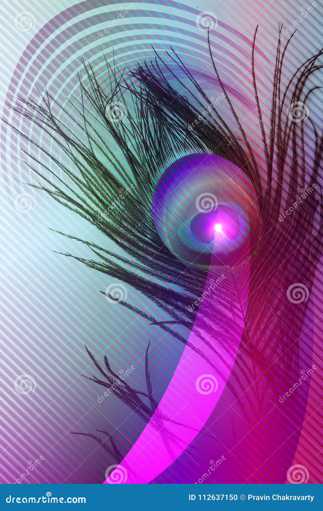 Abstract Textured Background with Peacock Father, Vector Illustration ...