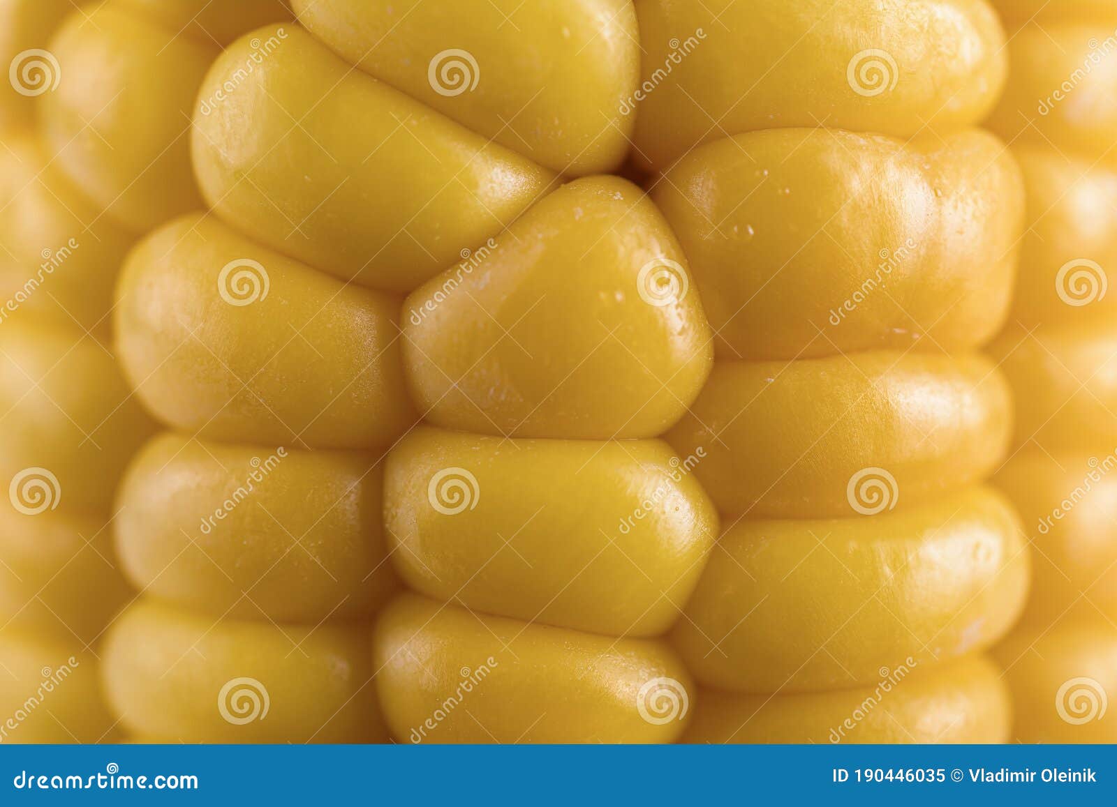 Abstract Textured Yellow Background, Corn Kernels Close-up Stock Image ...
