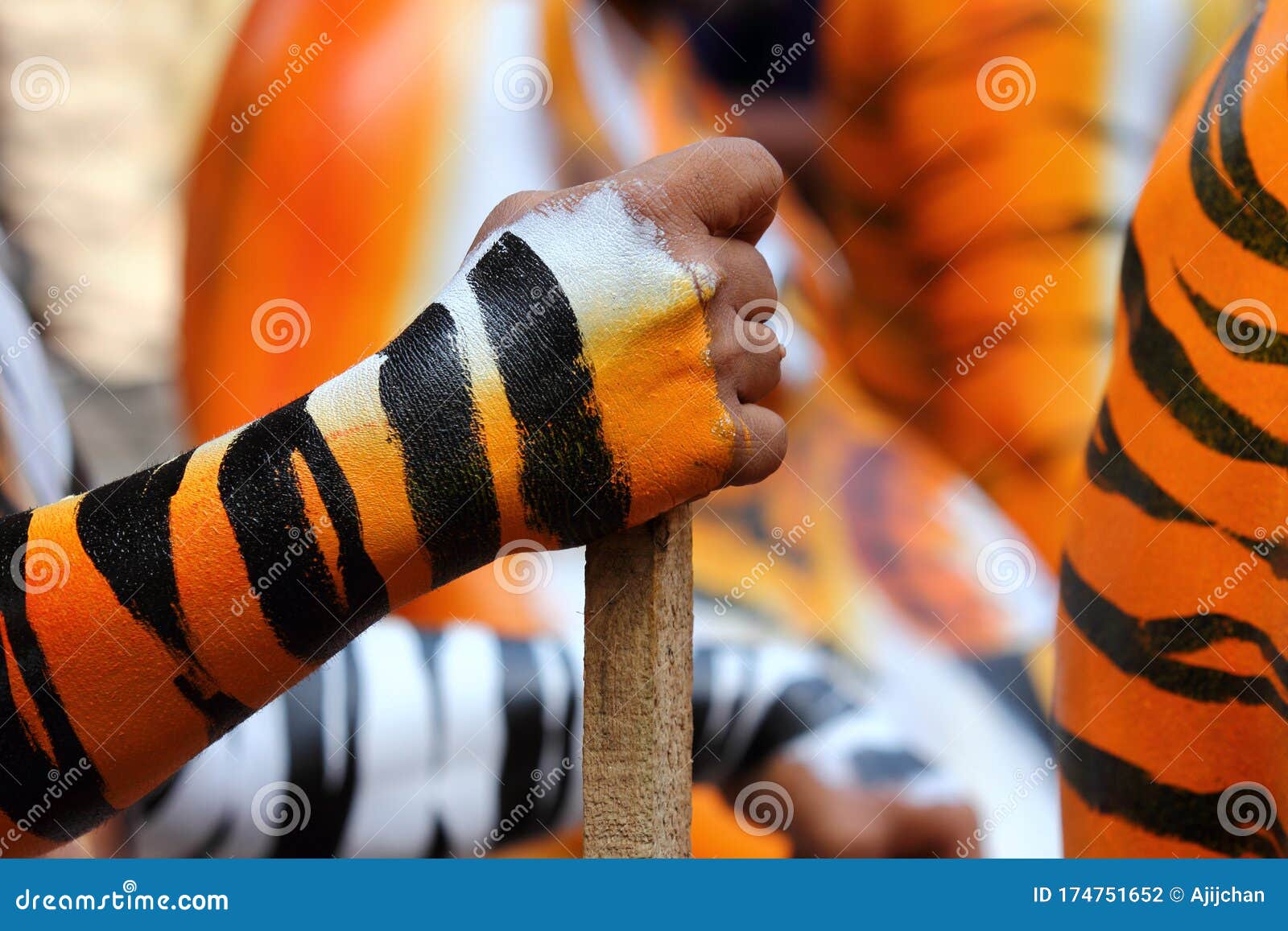 Abstract Tiger Stripes on a Human Hand Stock Photo - Image of ...