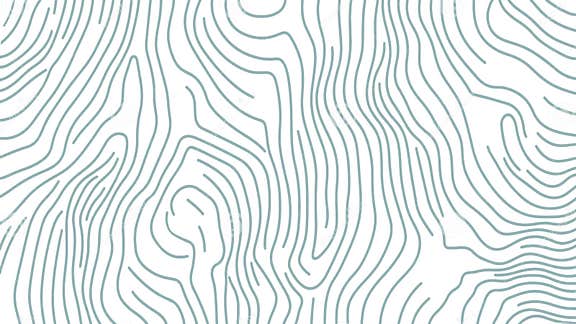 Abstract Topographic Contour Lines Background. Irregular Curved Lines ...