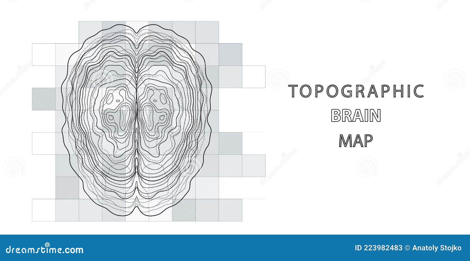 Abstract Topographic Map of Human Brain. Conceptual of Creative and ...