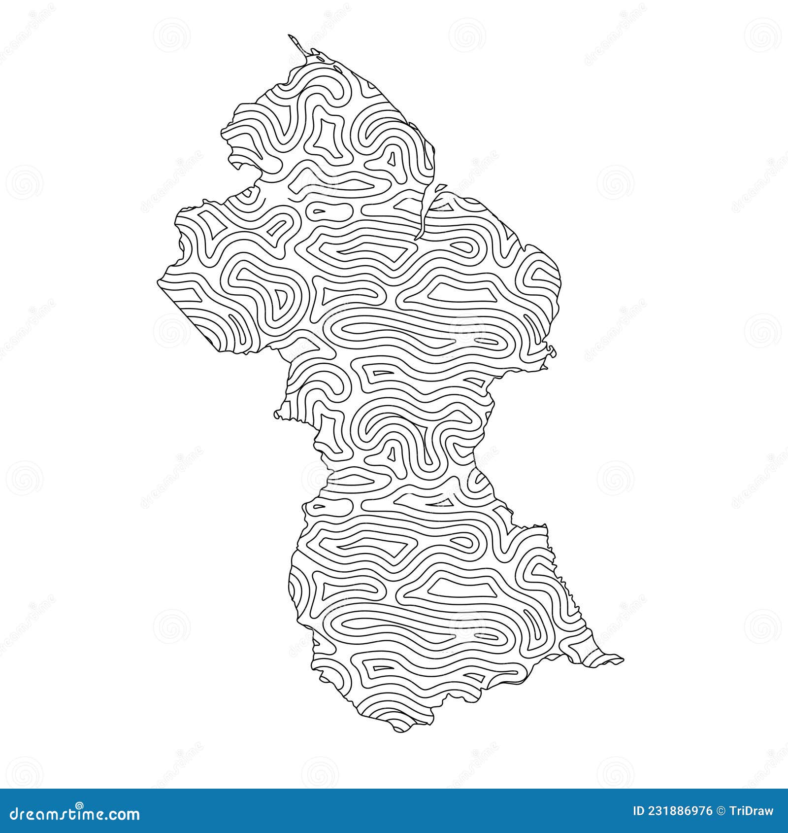 Abstract Topographic Style Guyana Map Design Stock Vector ...