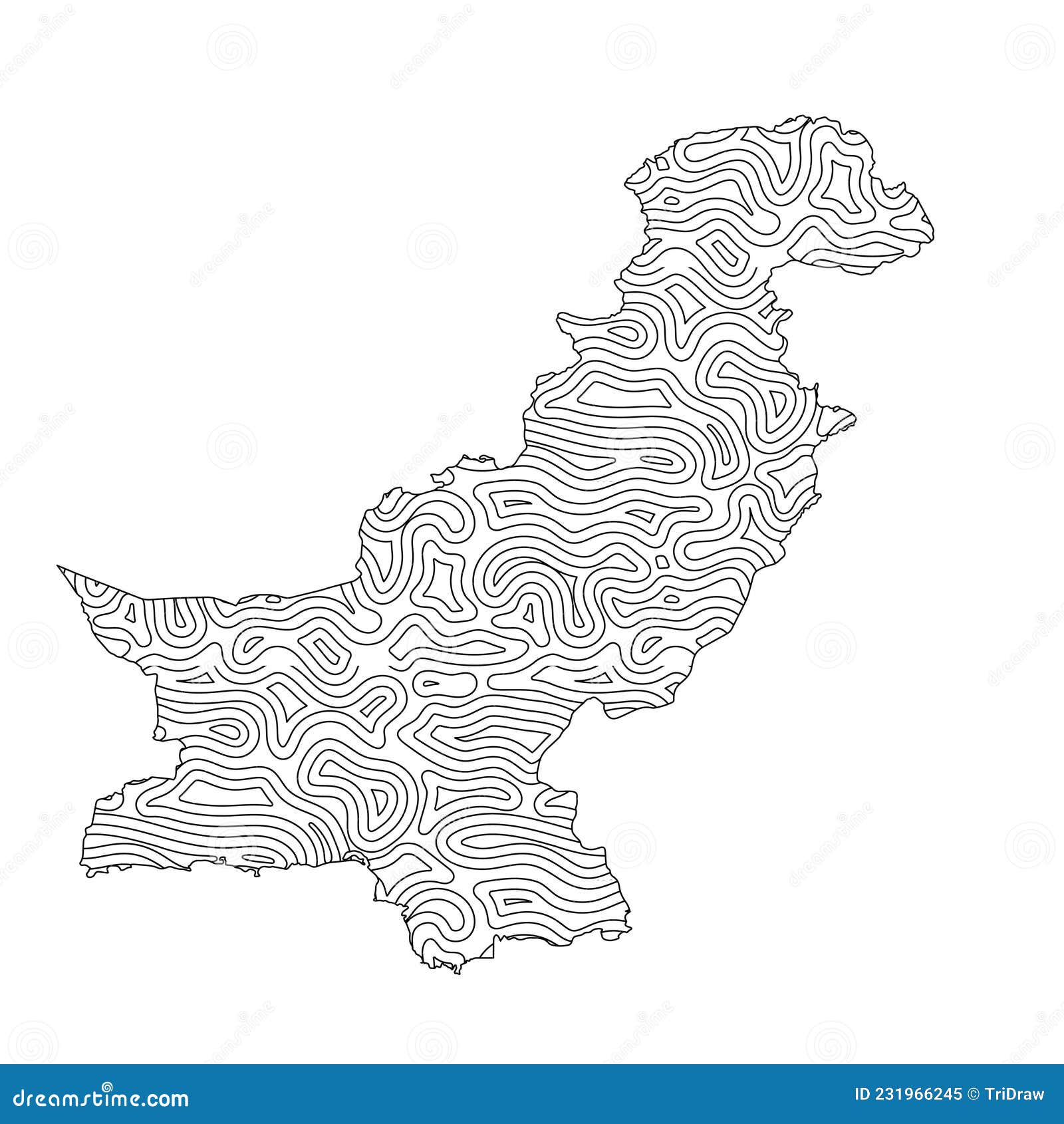 Abstract Topographic Style Pakistan Map Design Stock Vector ...
