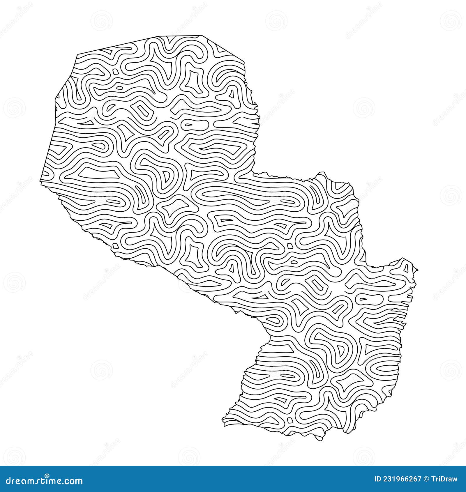 Abstract Topographic Style Paraguay Map Design Stock Vector ...