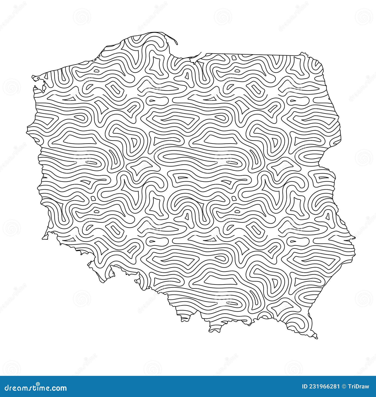 Abstract Topographic Style Poland Map Design Stock Vector ...