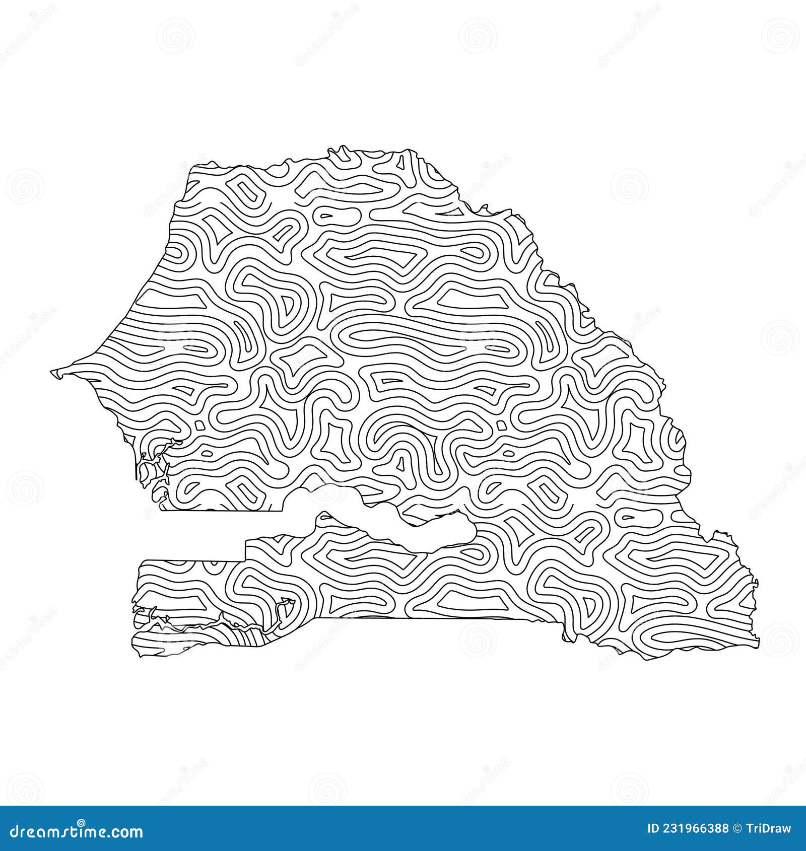 Abstract Topographic Style Senegal Map Design Stock Vector ...