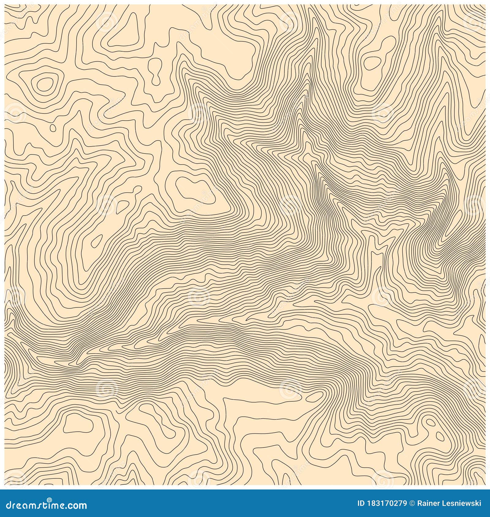 Abstract Topographic Map. Vector | CartoonDealer.com #21992701