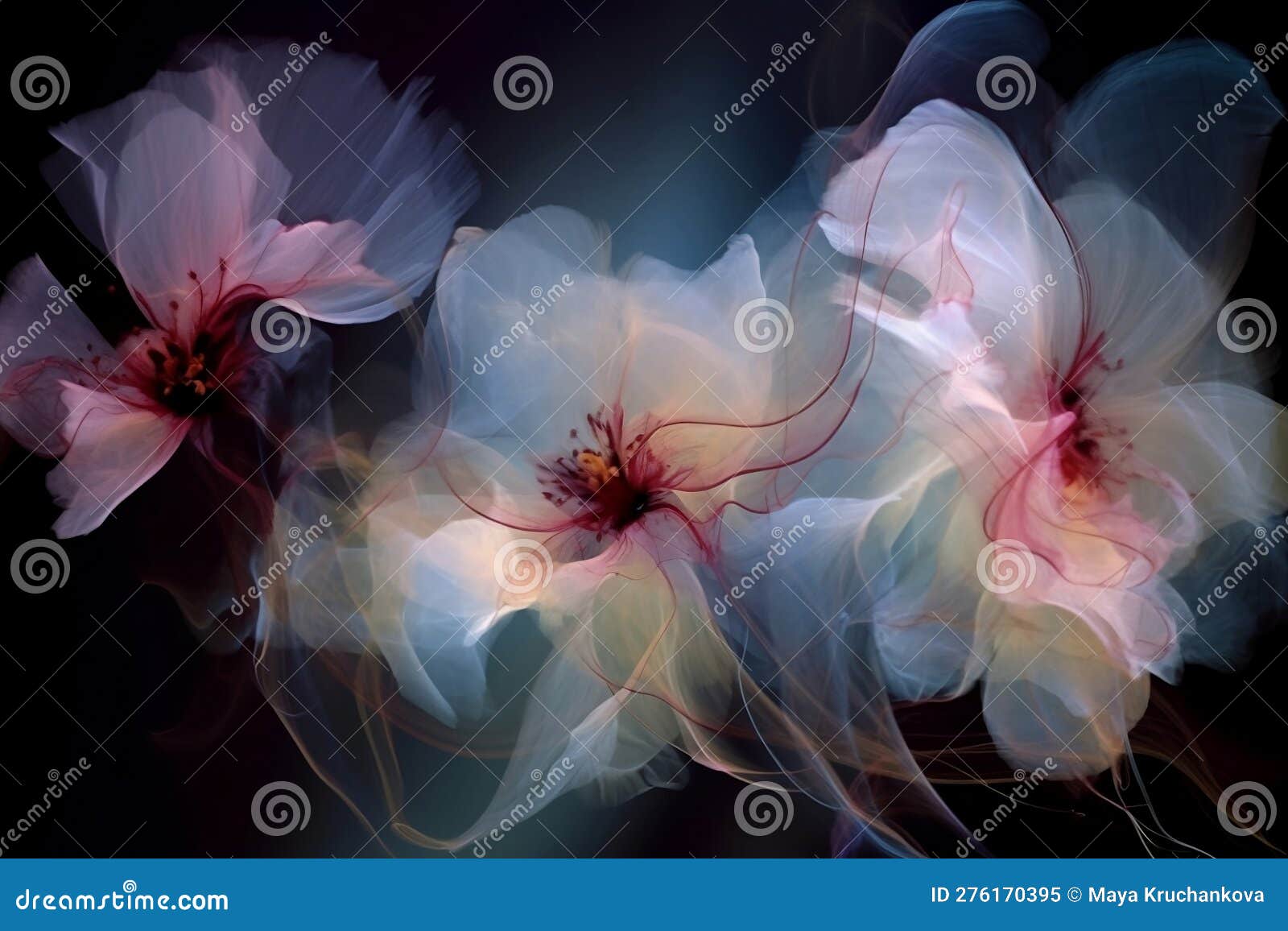 Abstract Translucent Multicolored Flowers on Dark Background Stock ...