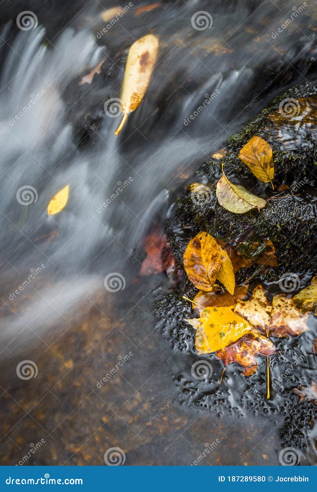 Abstract Treatment of Small Cascade Surrounded by Fall Leaves Stock ...