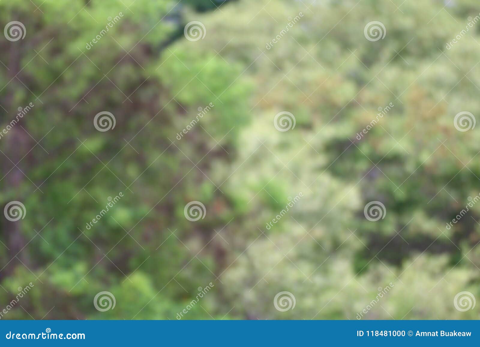 Abstract Tree Blurred Background, Blurred Tree Background Forest Green ...