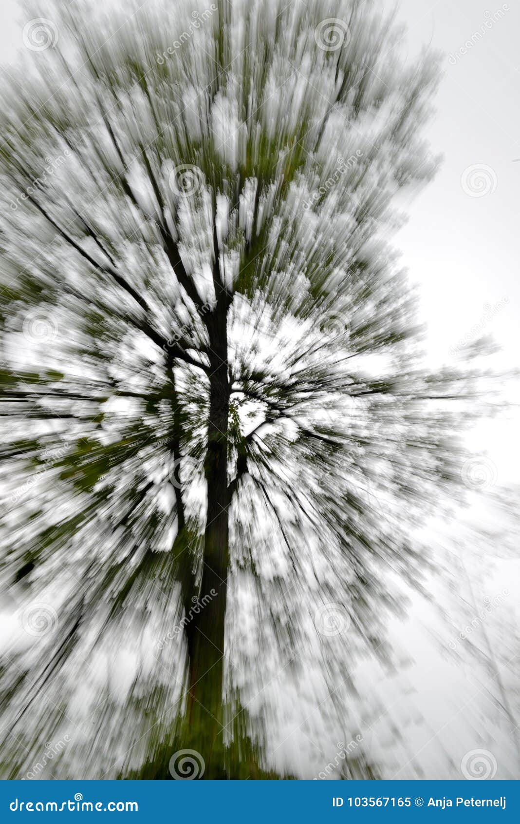Abstract tree stock image. Image of green, depth, line - 103567165